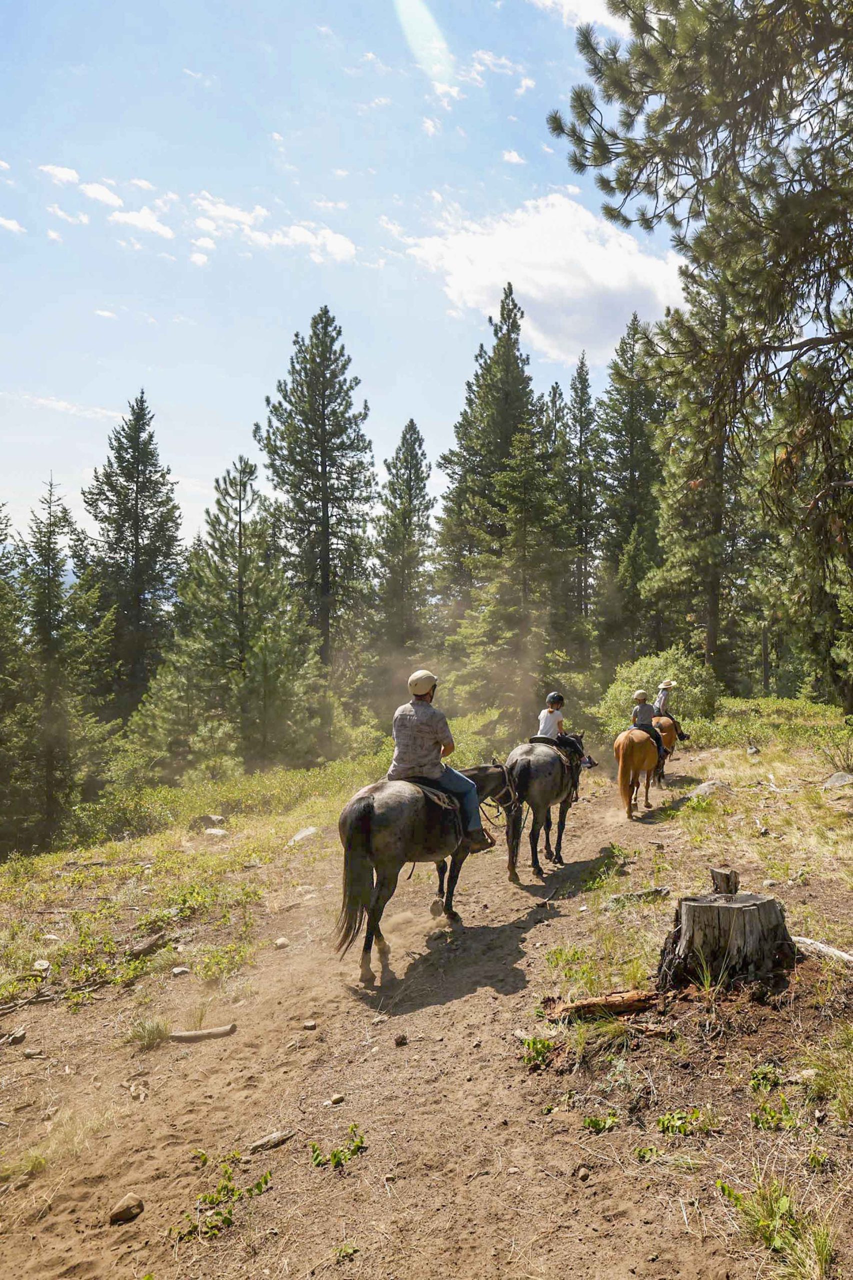 Guided Services: Horseback Riding - McCall Idaho, Let's Go!