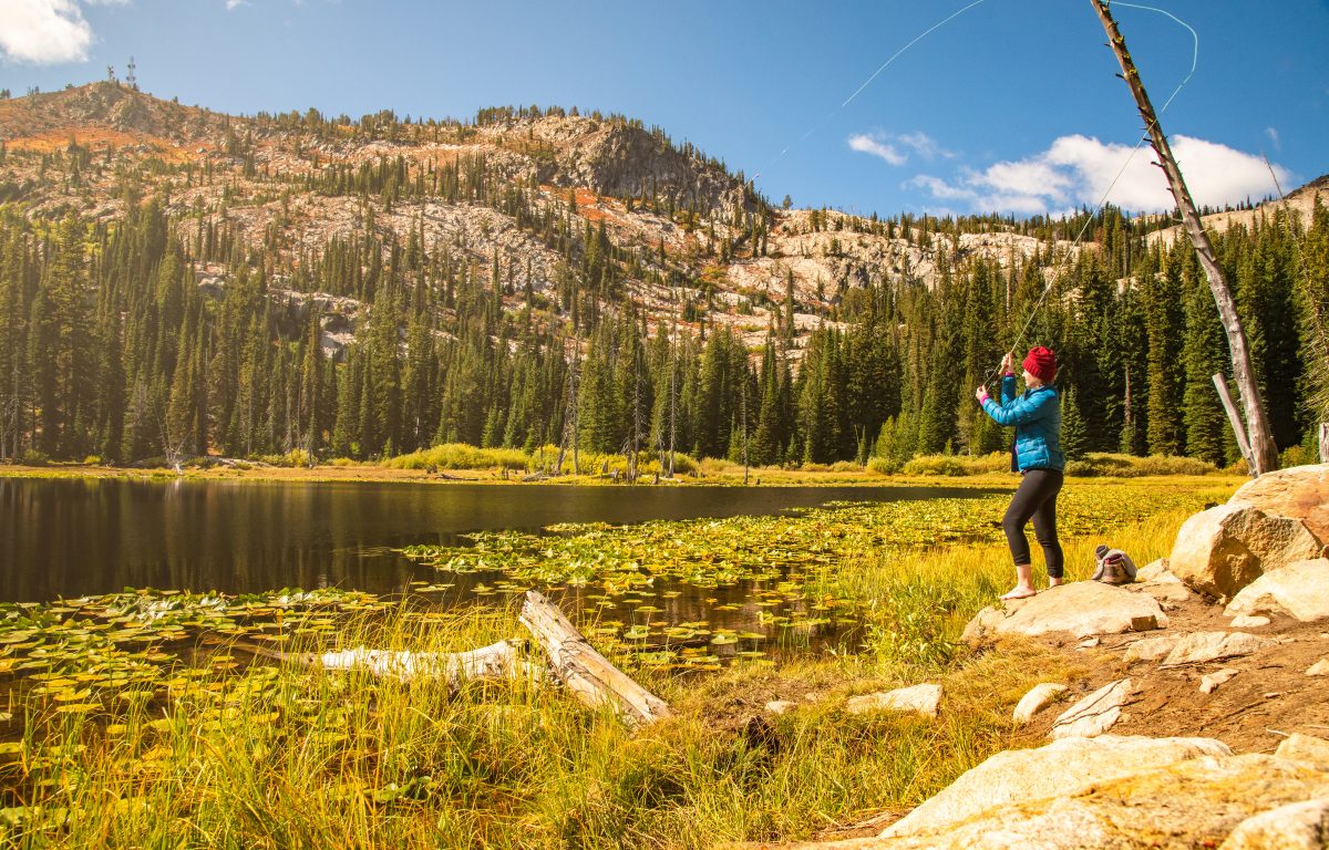 McCall Idaho, Let's Go! Chamber of Commerce Visitors Bureau