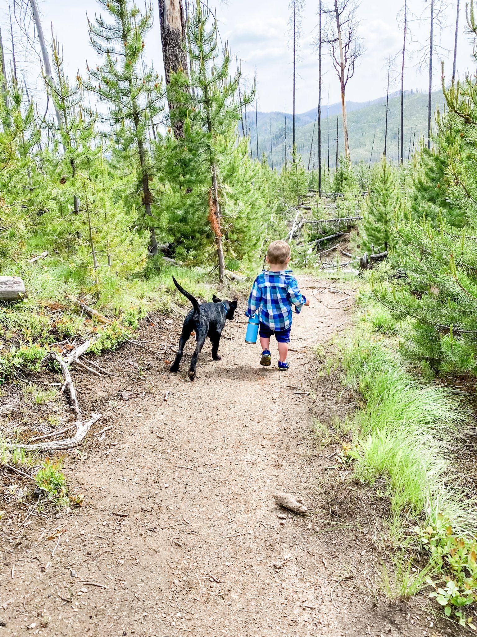 Family Fun: Trail Trekking - McCall Idaho, Let's Go!