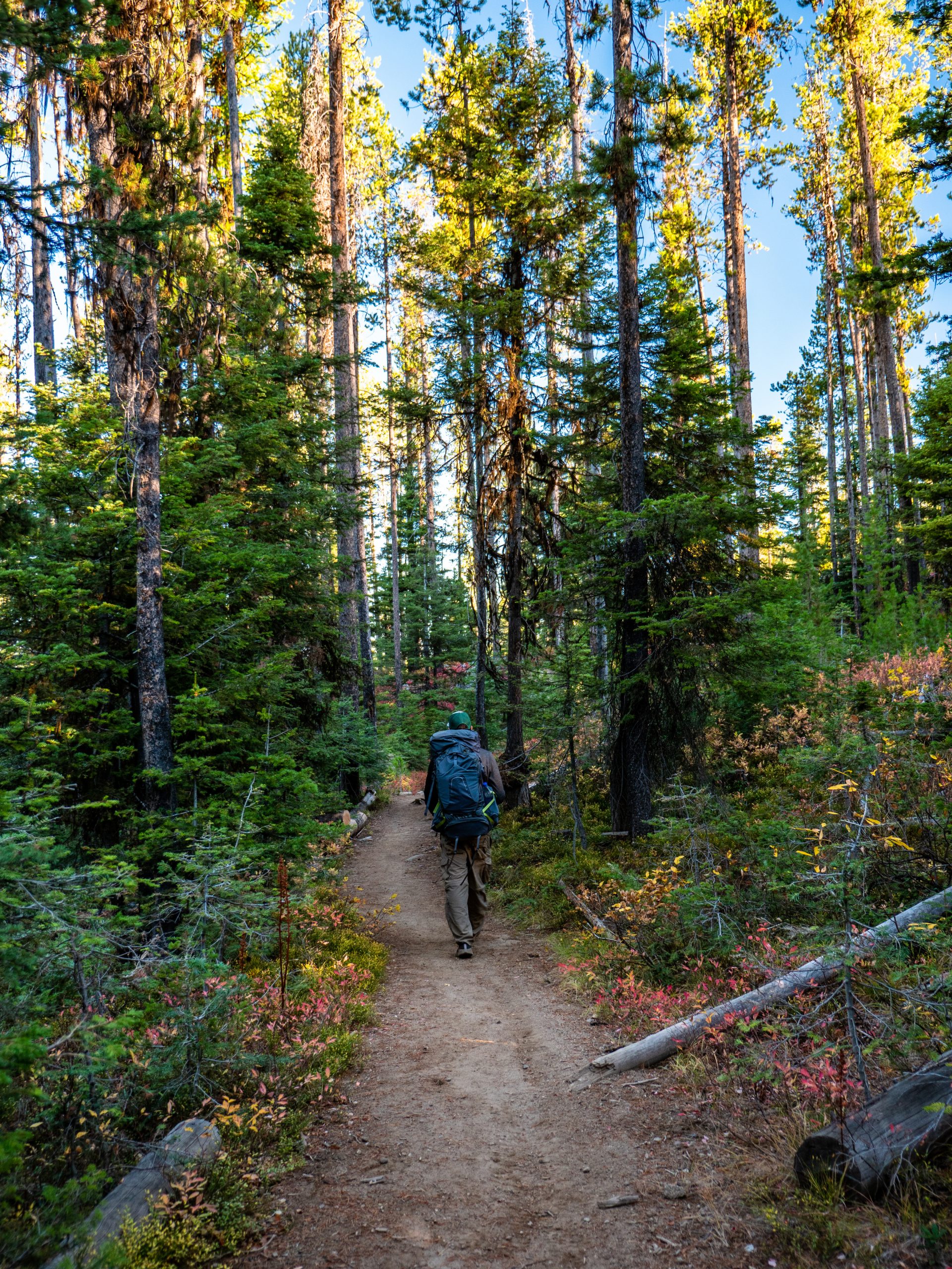 The Icons of Hiking in McCall - McCall Idaho, Let's Go!