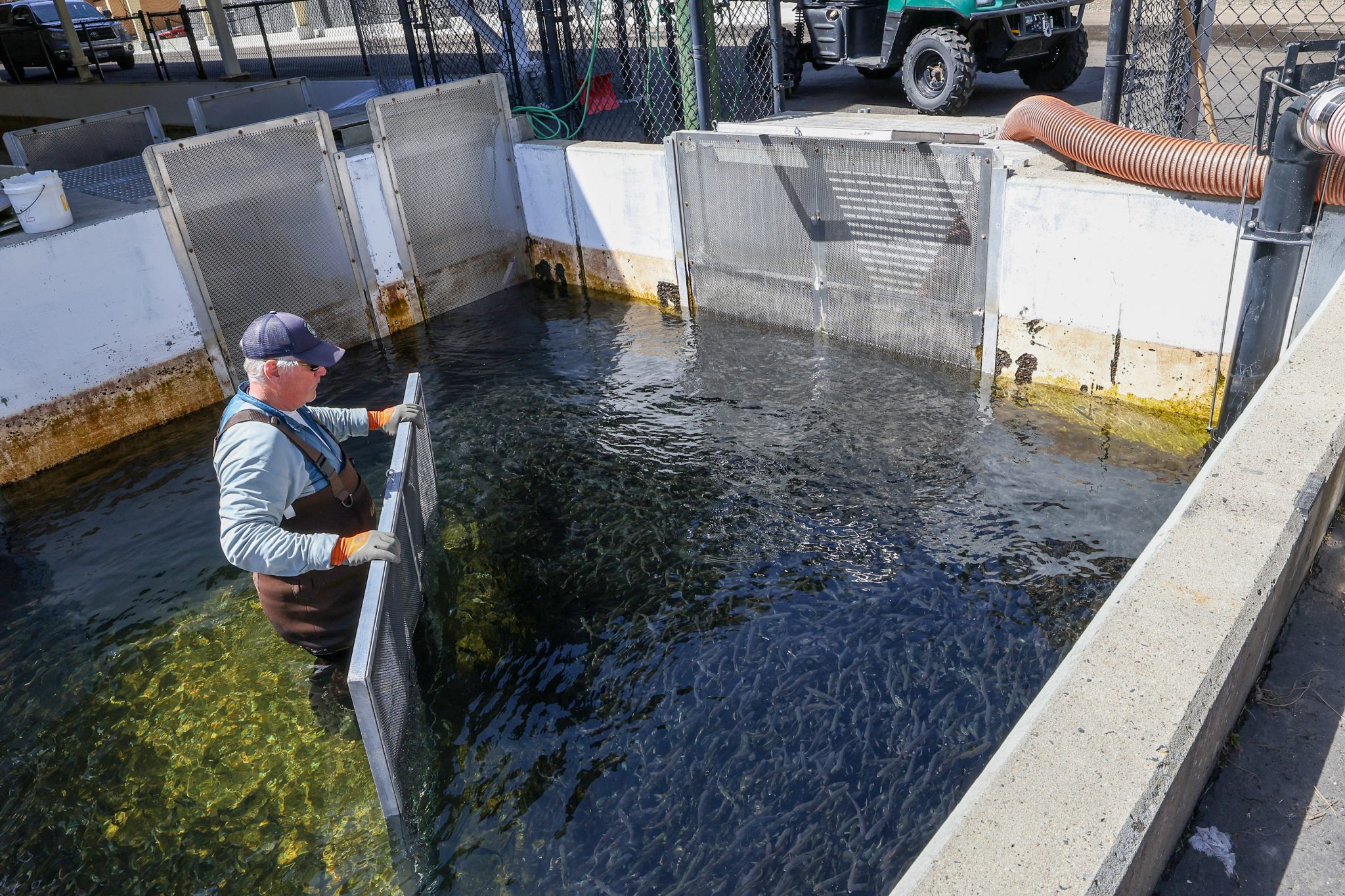 Feeding the Future: McCall Fish Hatchery - McCall Idaho, Let's Go!